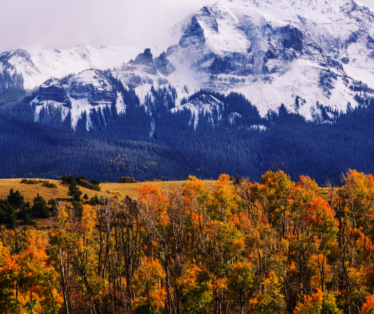 Study Abroad in the United States of America - StudyAbroad.com